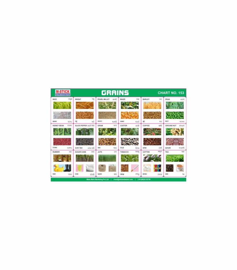 M-Stick | Educational Chart | 153 | Grains | 10 Sheets – Sticker Bazaar