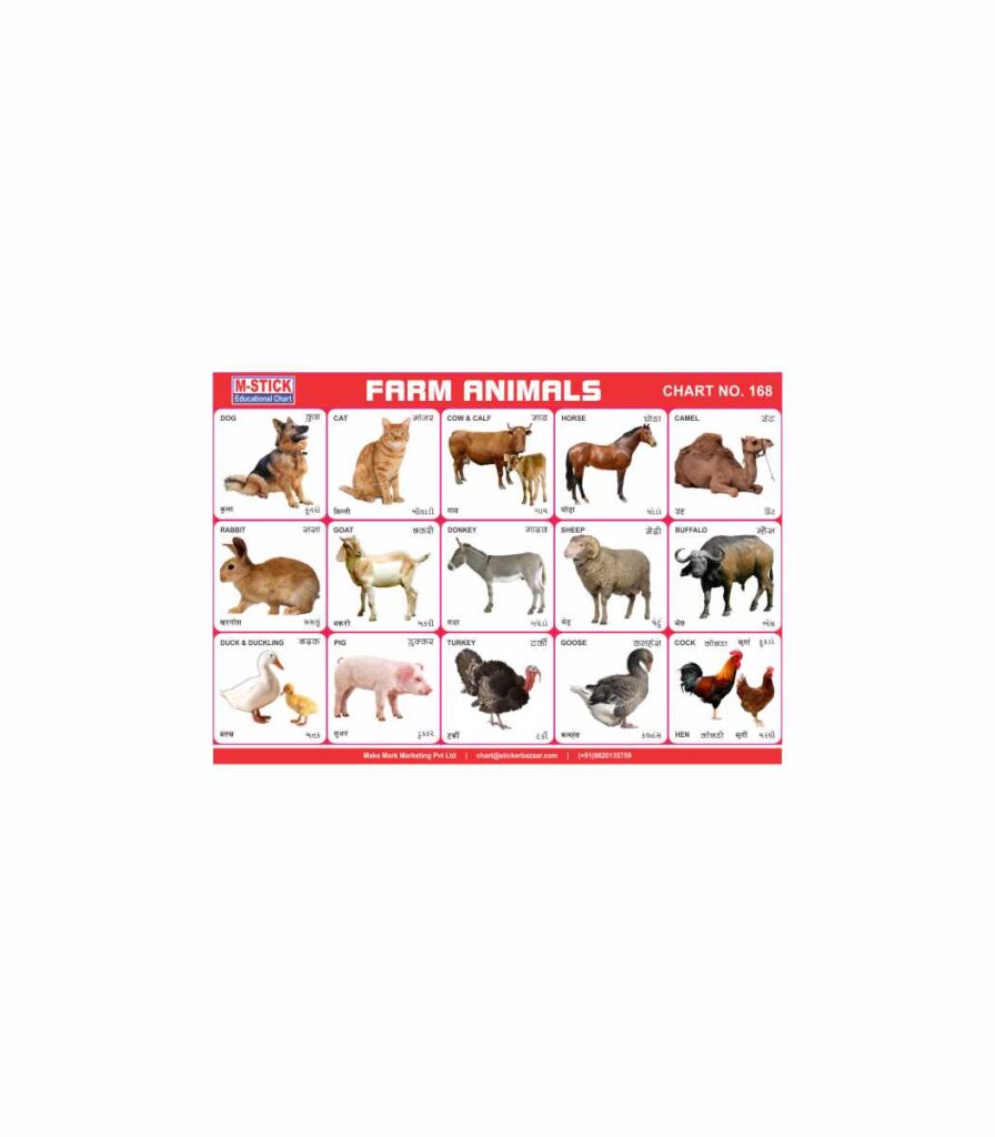 Farm Animals | Educational Chart - By Sticker Bazaar
